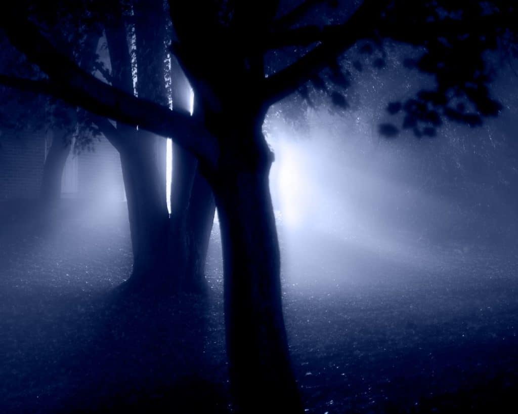 Will-o'-the-Wisp | Strange Britain